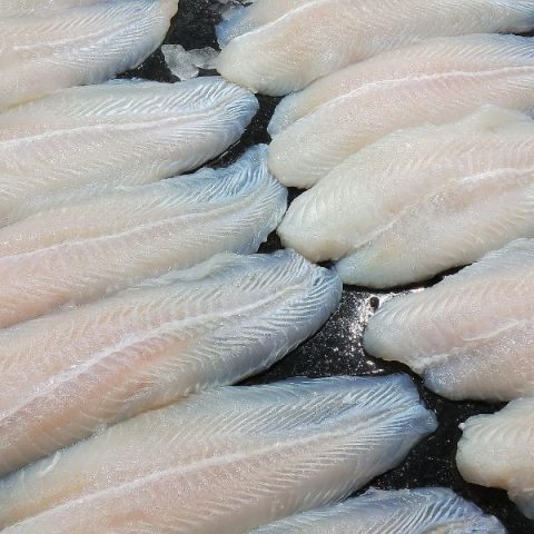 Dory Fillet | Supplier of Japanese Food Products, Fresh Frozen Seafood ...